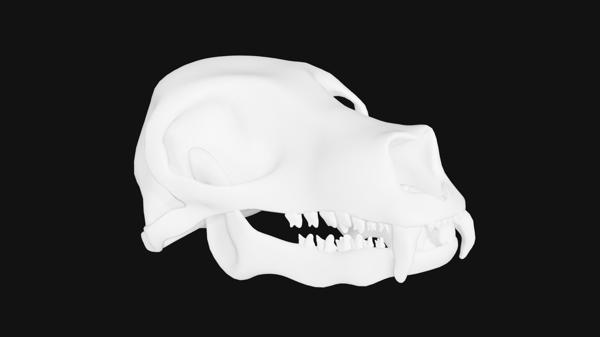 3D Lemur Skull - TurboSquid 1995925