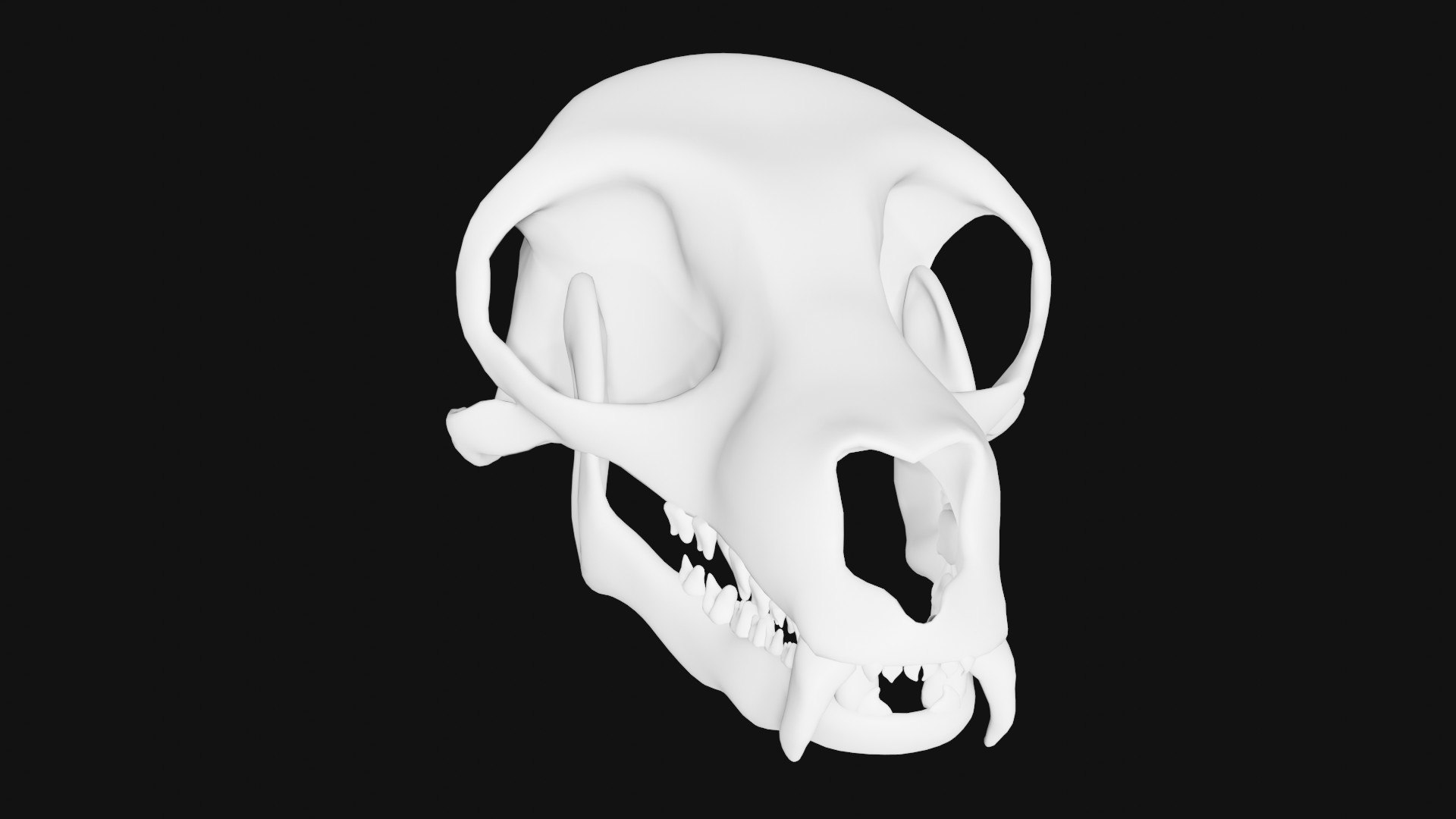 3D Lemur Skull - TurboSquid 1995925