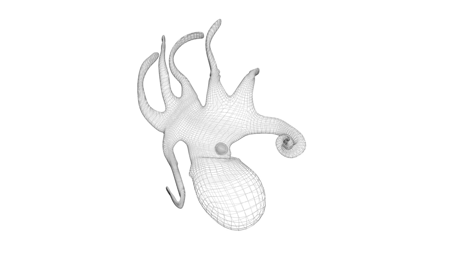 Octopus 3D Model - TurboSquid 1932041