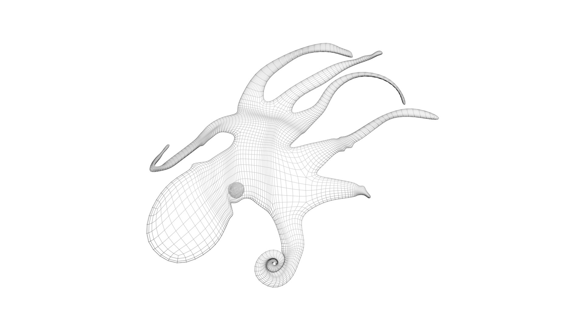 Octopus 3D Model - TurboSquid 1932041