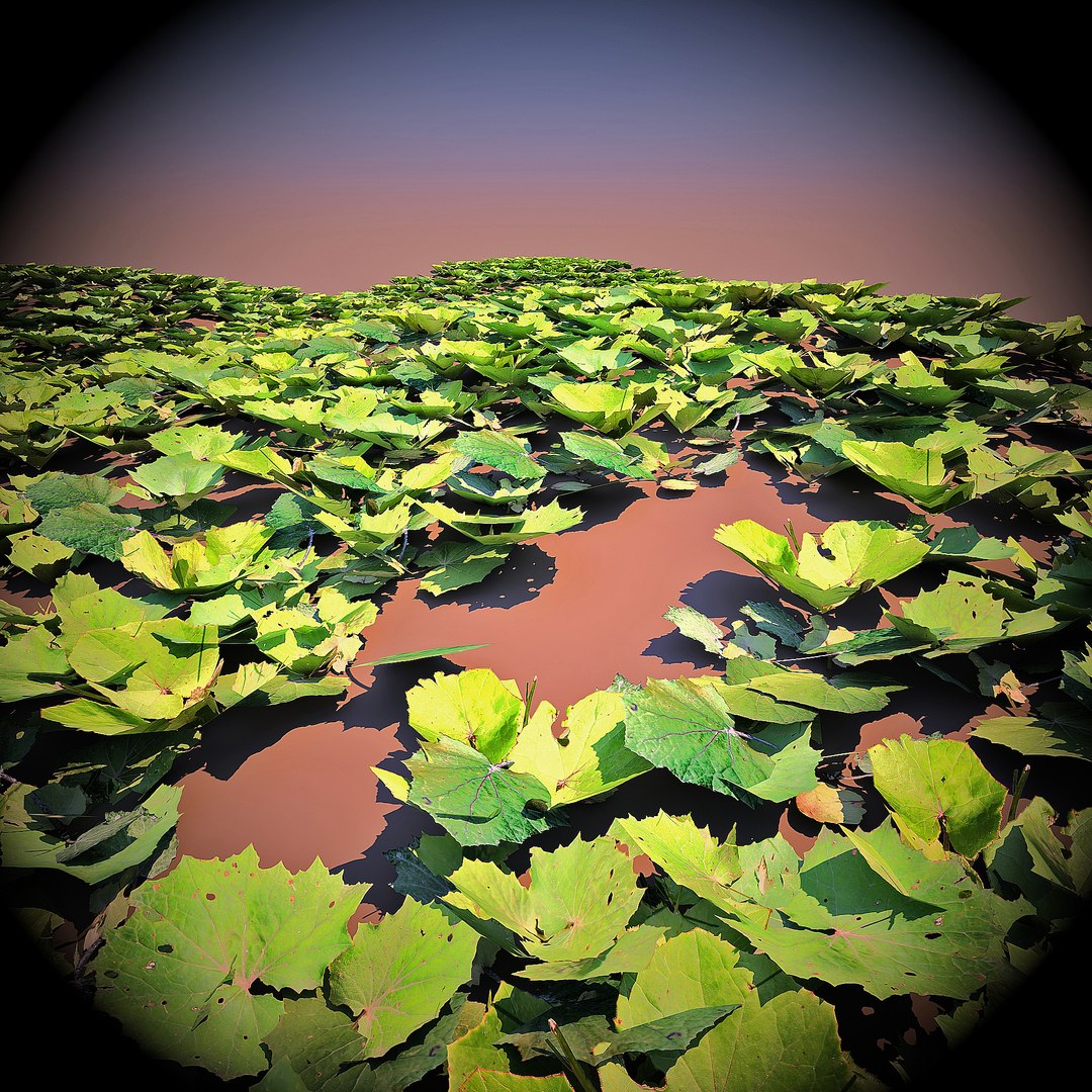 Plants Leaves 3D Model - TurboSquid 1635681