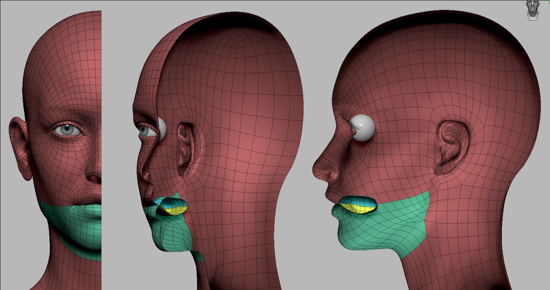 Realistic Female Body Base Mesh 3D - TurboSquid 2348381