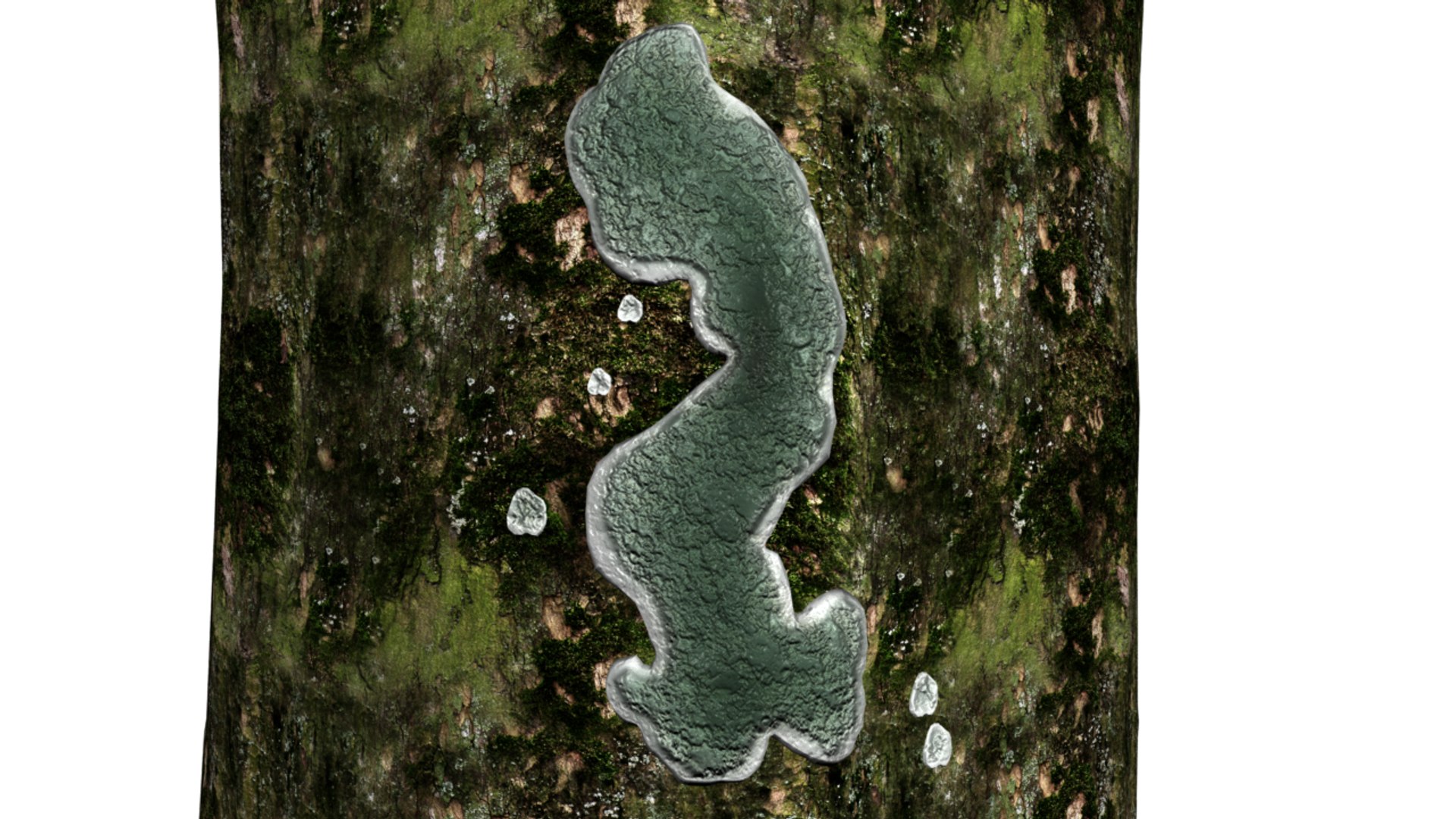 3d Trichoderma Genus Fungi