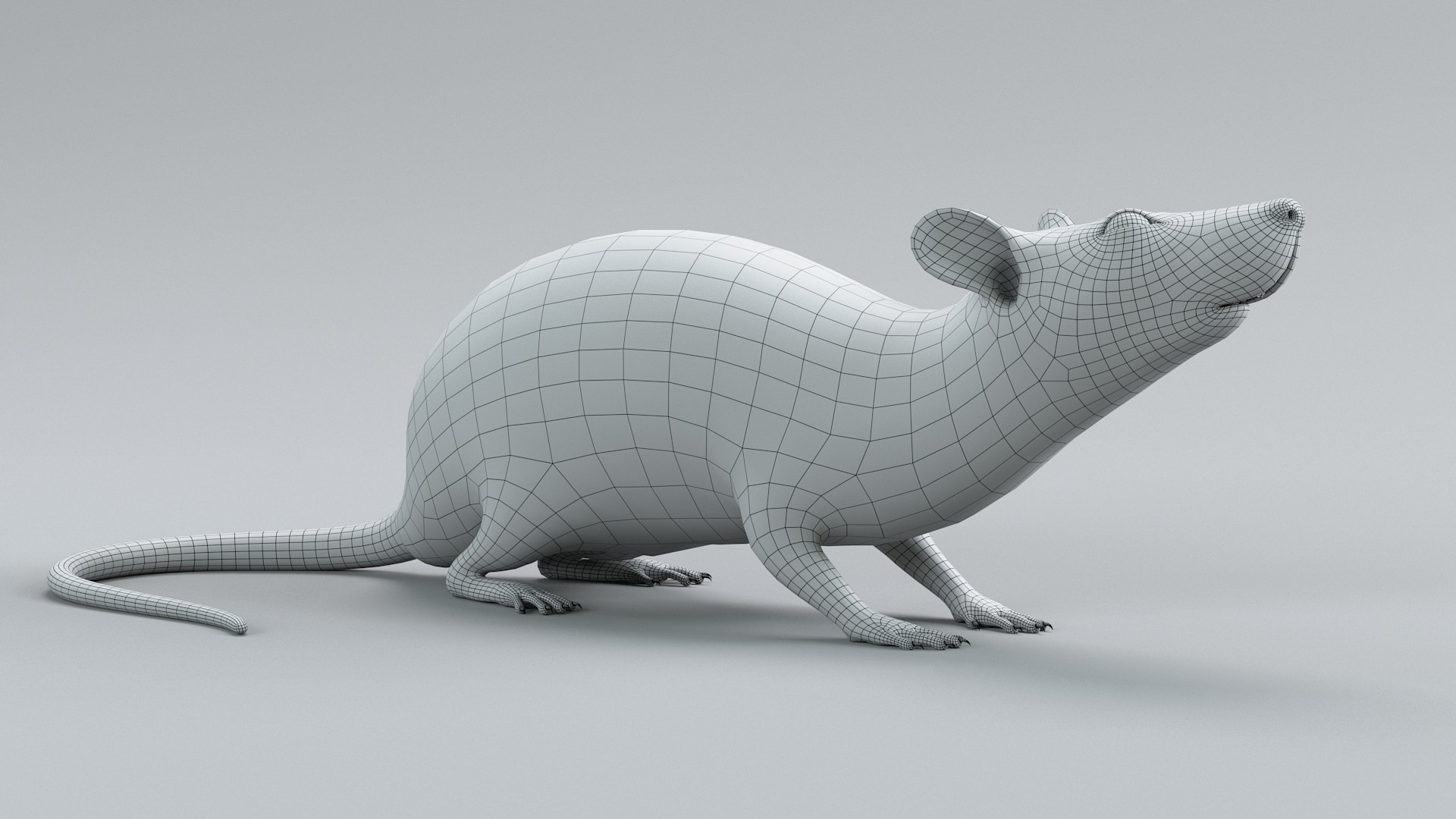 Laboratory Rat Rigged Xgen 3D Model - TurboSquid 2374084