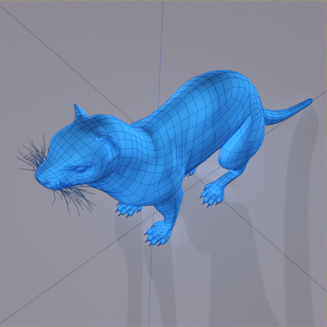 3d Model Ferret