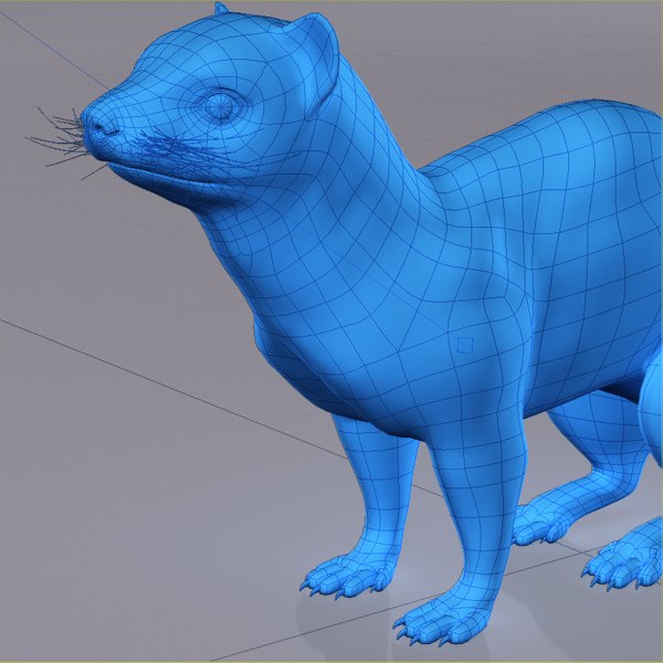 3d model ferret