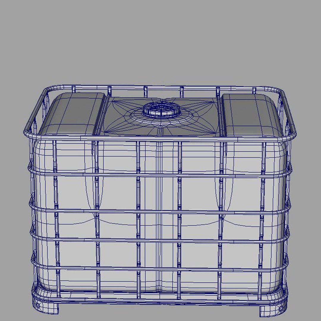Maya Water Container