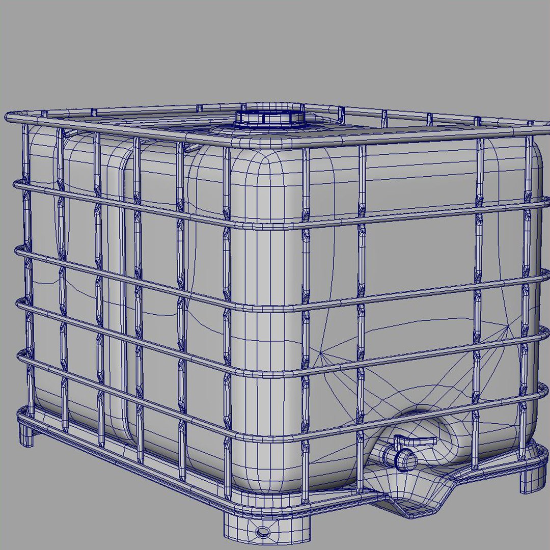Maya Water Container
