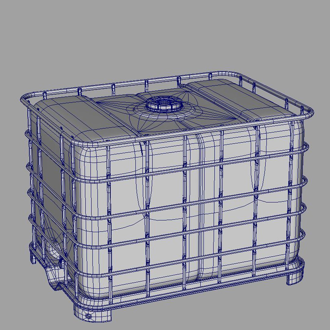 Maya Water Container