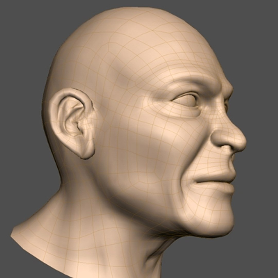 Maya Realistic Male Head