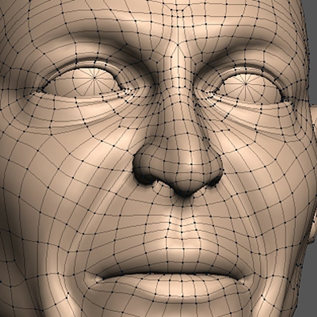 Maya Realistic Male Head