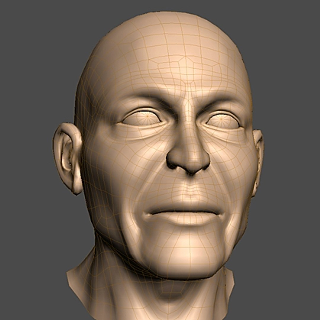 Maya Realistic Male Head