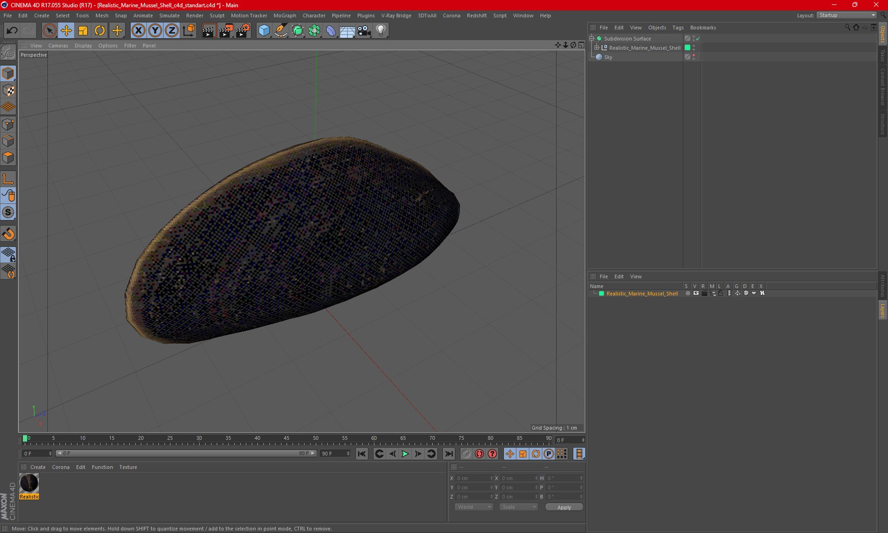 3D Realistic Marine Mussel Shell Model - TurboSquid 2227988