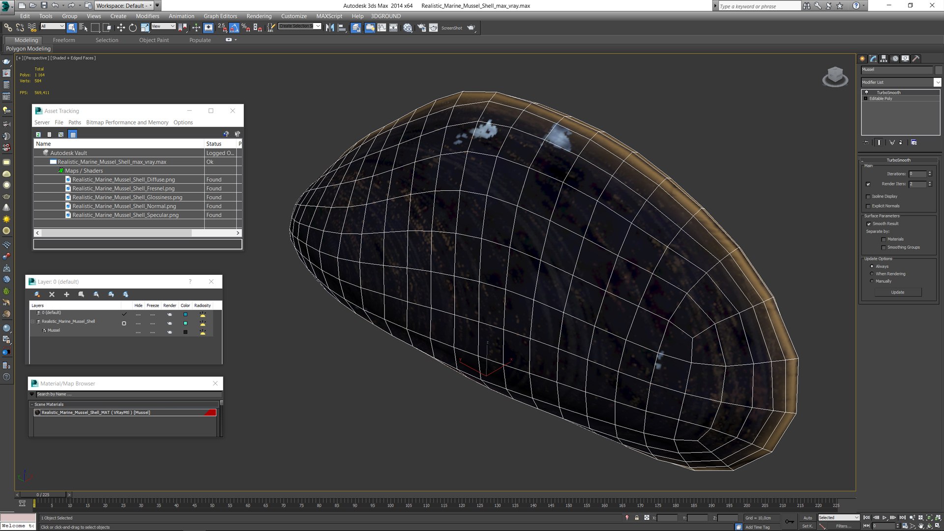 3D Realistic Marine Mussel Shell Model - TurboSquid 2227988