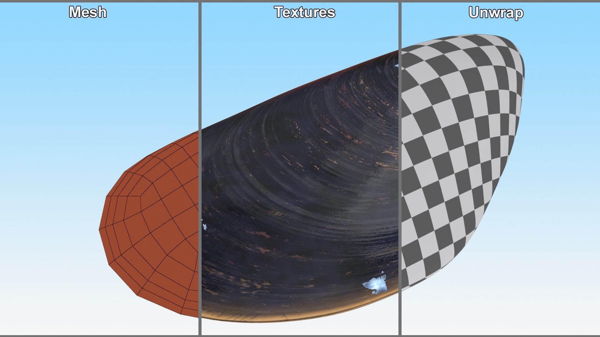 3D Realistic Marine Mussel Shell Model - TurboSquid 2227988