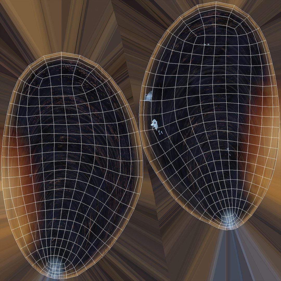 3D Realistic Marine Mussel Shell Model - TurboSquid 2227988