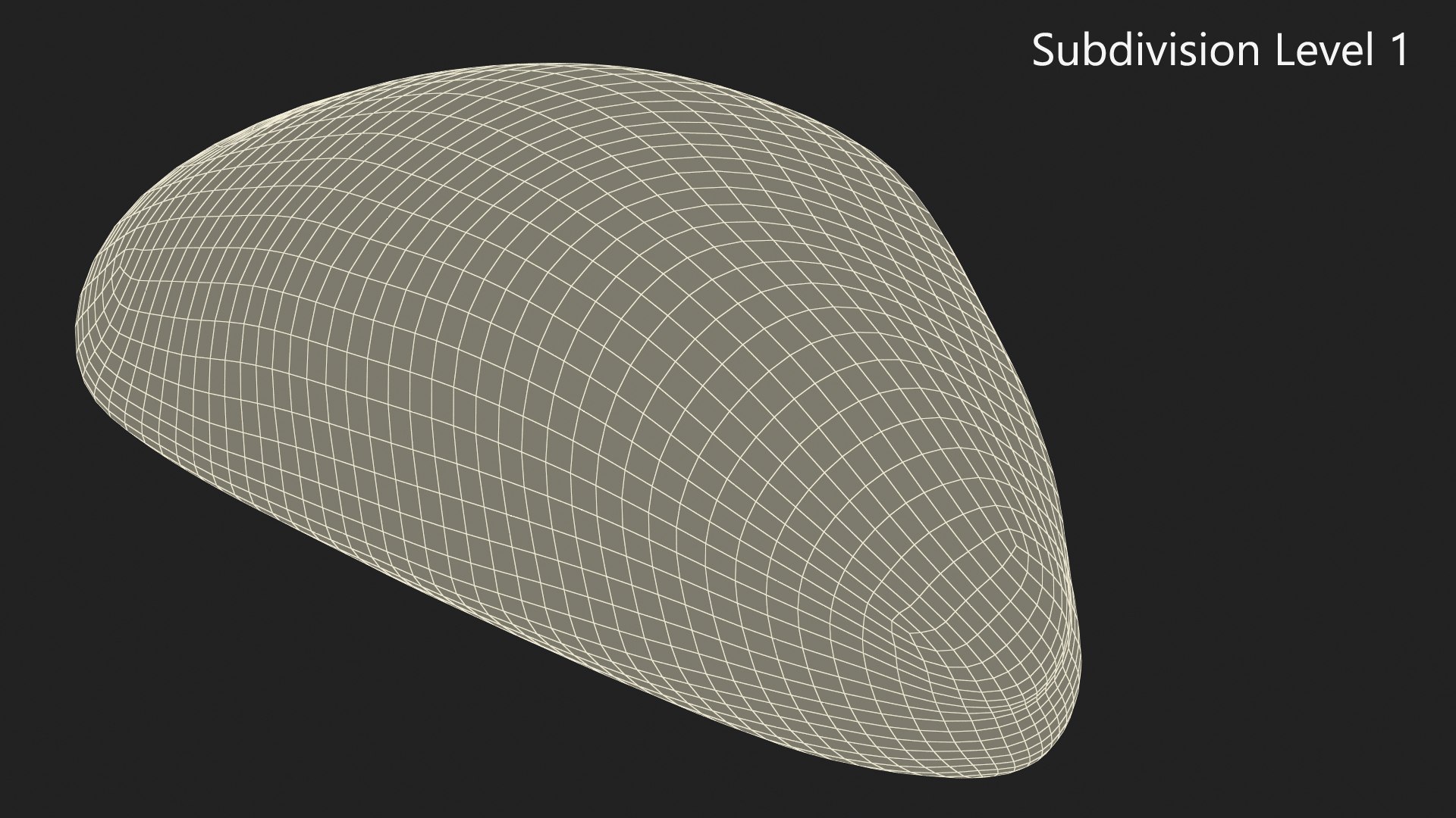 3D Realistic Marine Mussel Shell Model - TurboSquid 2227988