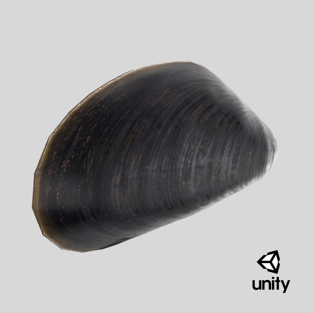 3D Realistic Marine Mussel Shell Model - TurboSquid 2227988