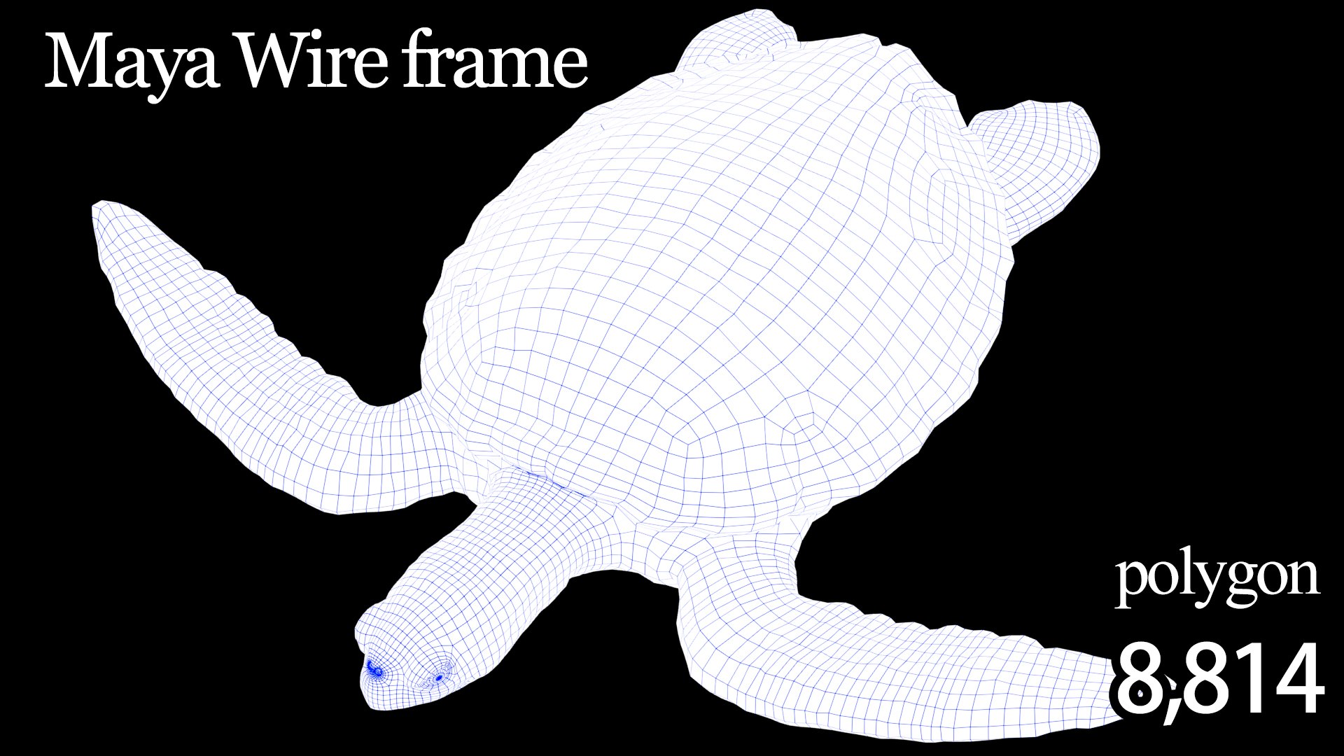 3D Model SeaTurtle - TurboSquid 2107861