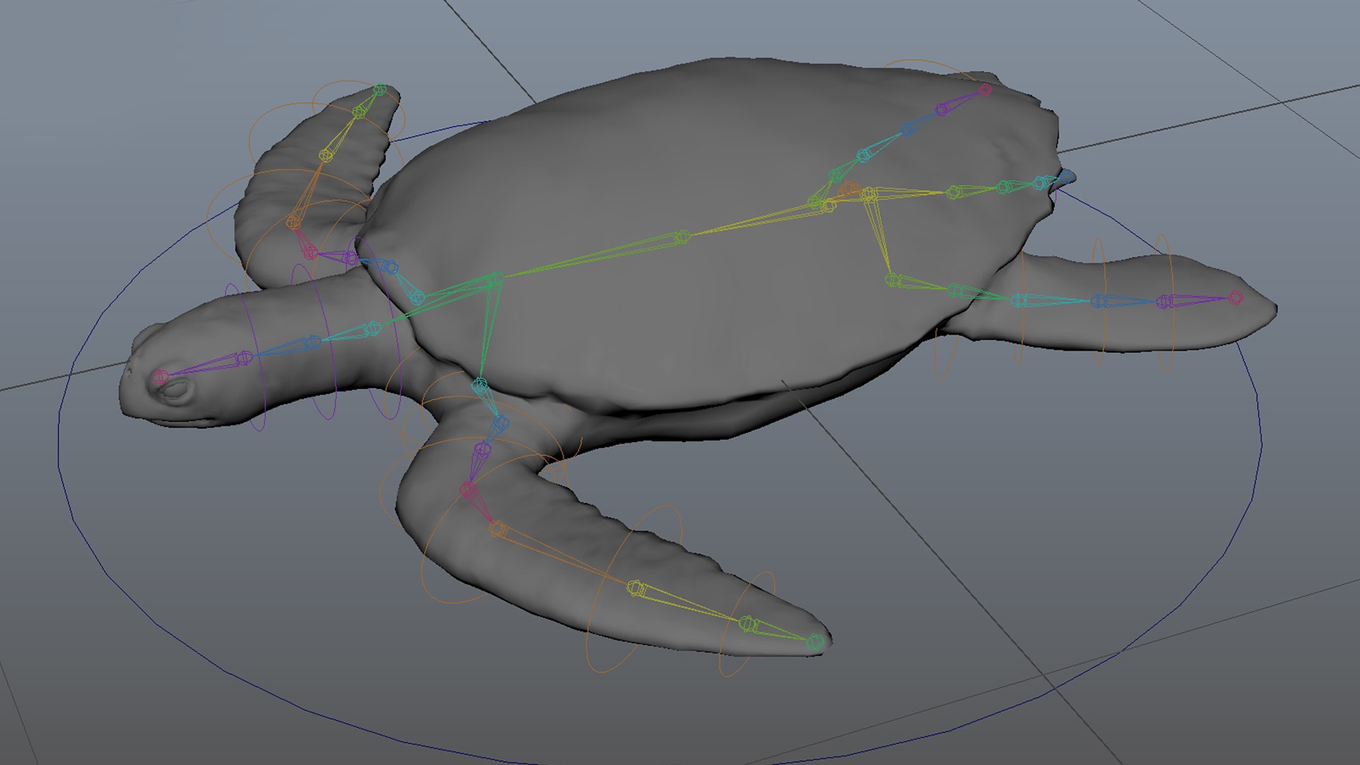 3D Model SeaTurtle - TurboSquid 2107861