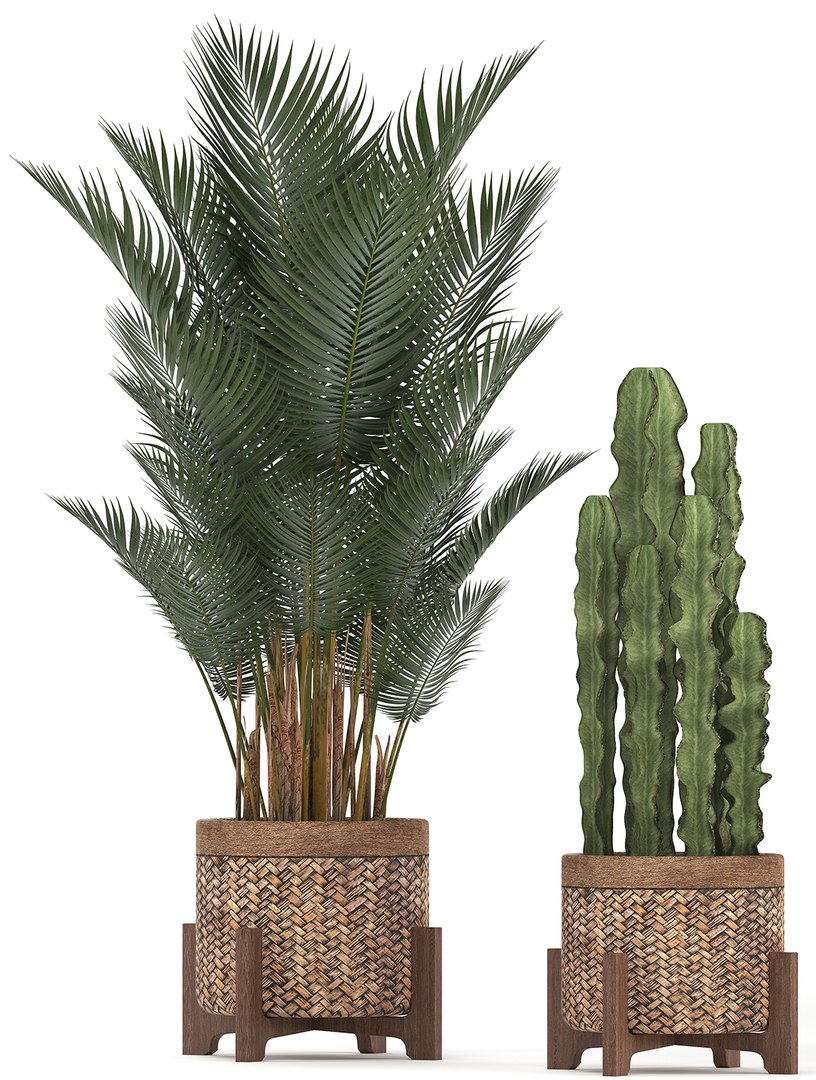 3D Exotic Plants - TurboSquid 1421111