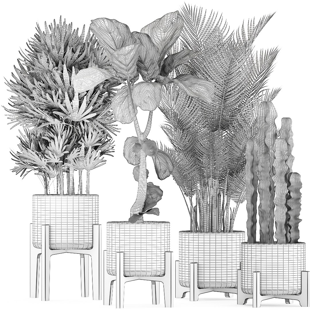 3D Exotic Plants - TurboSquid 1421111