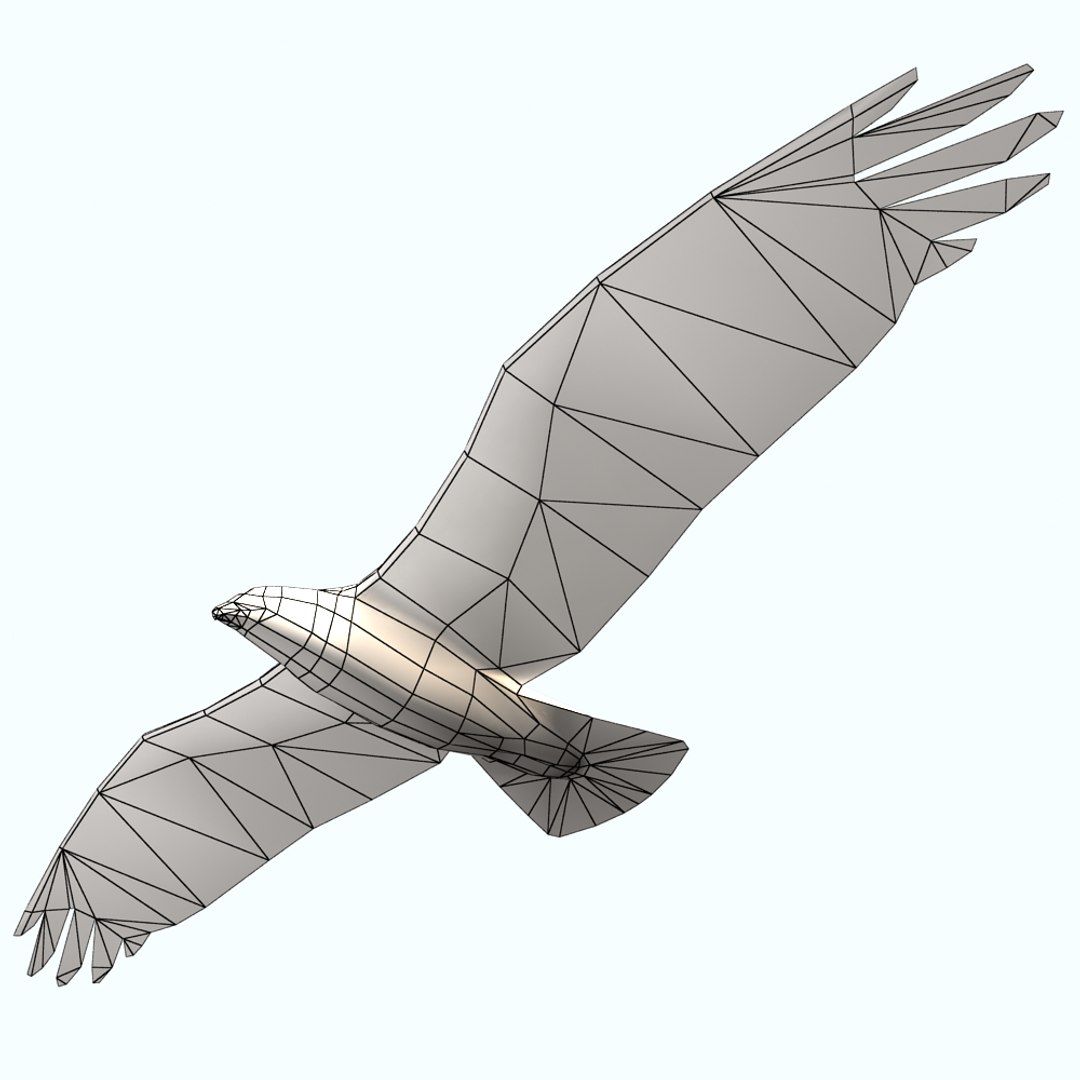 3d Model 2 Osprey