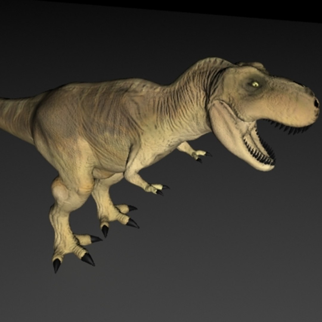 Trex 3d Model