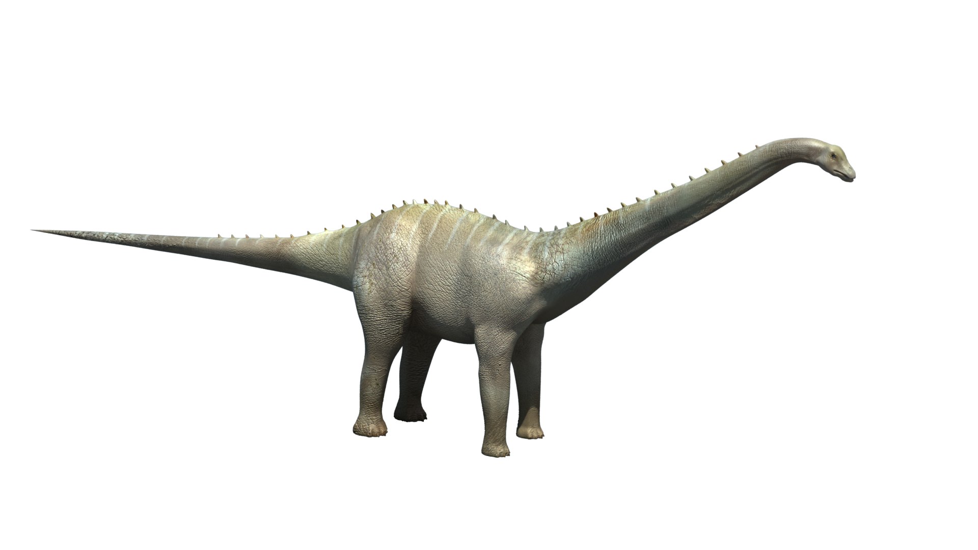 Animate Rigged Diplodocus 3D Model - TurboSquid 1189587