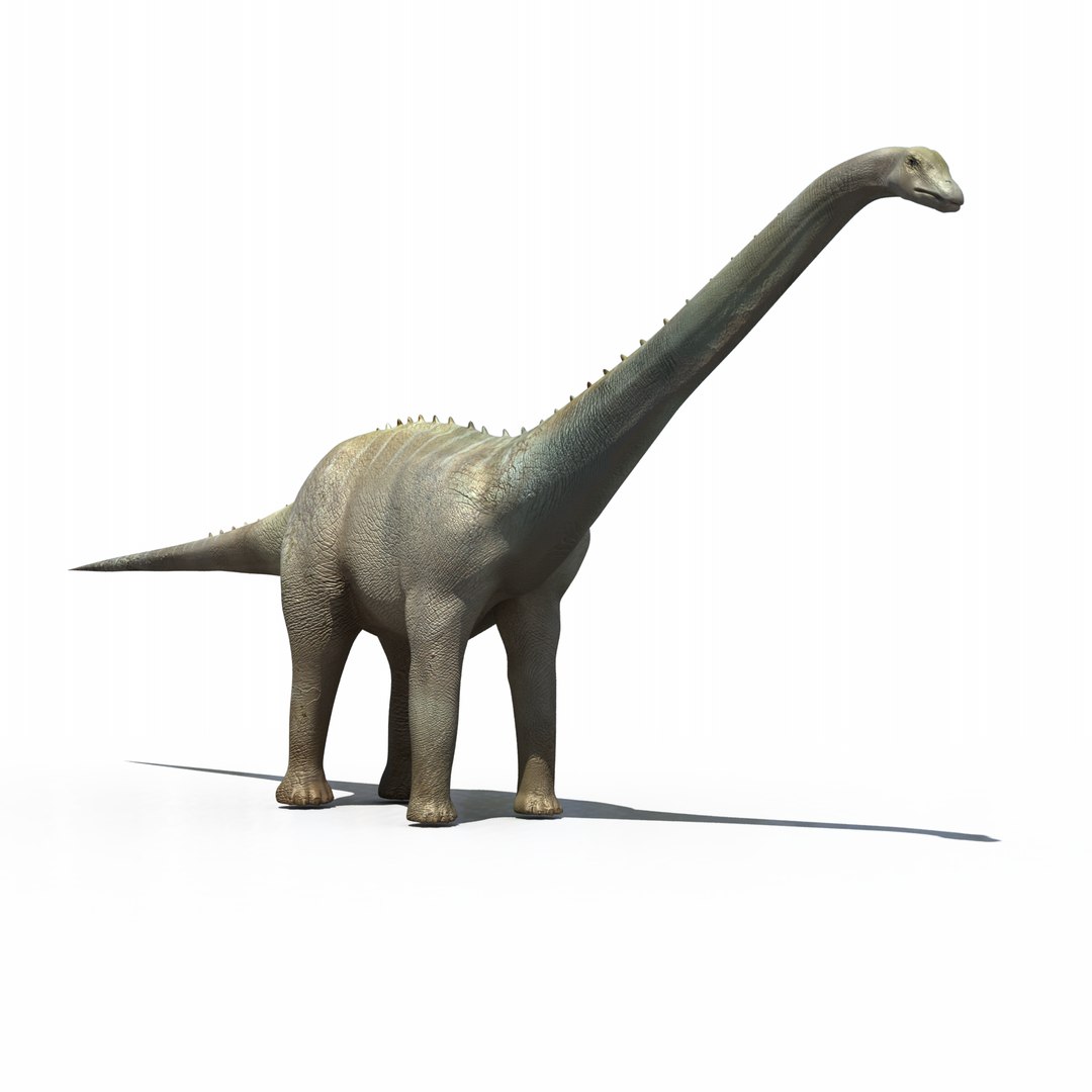 Animate Rigged Diplodocus 3D Model - TurboSquid 1189587