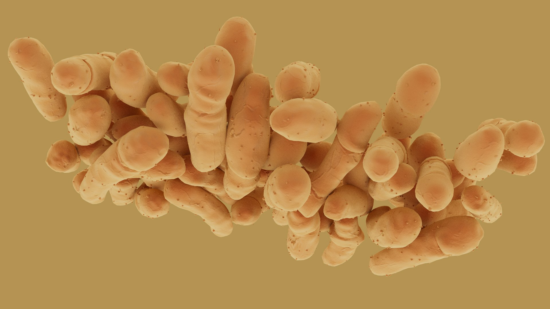 3D Bacillus - TurboSquid 2108161