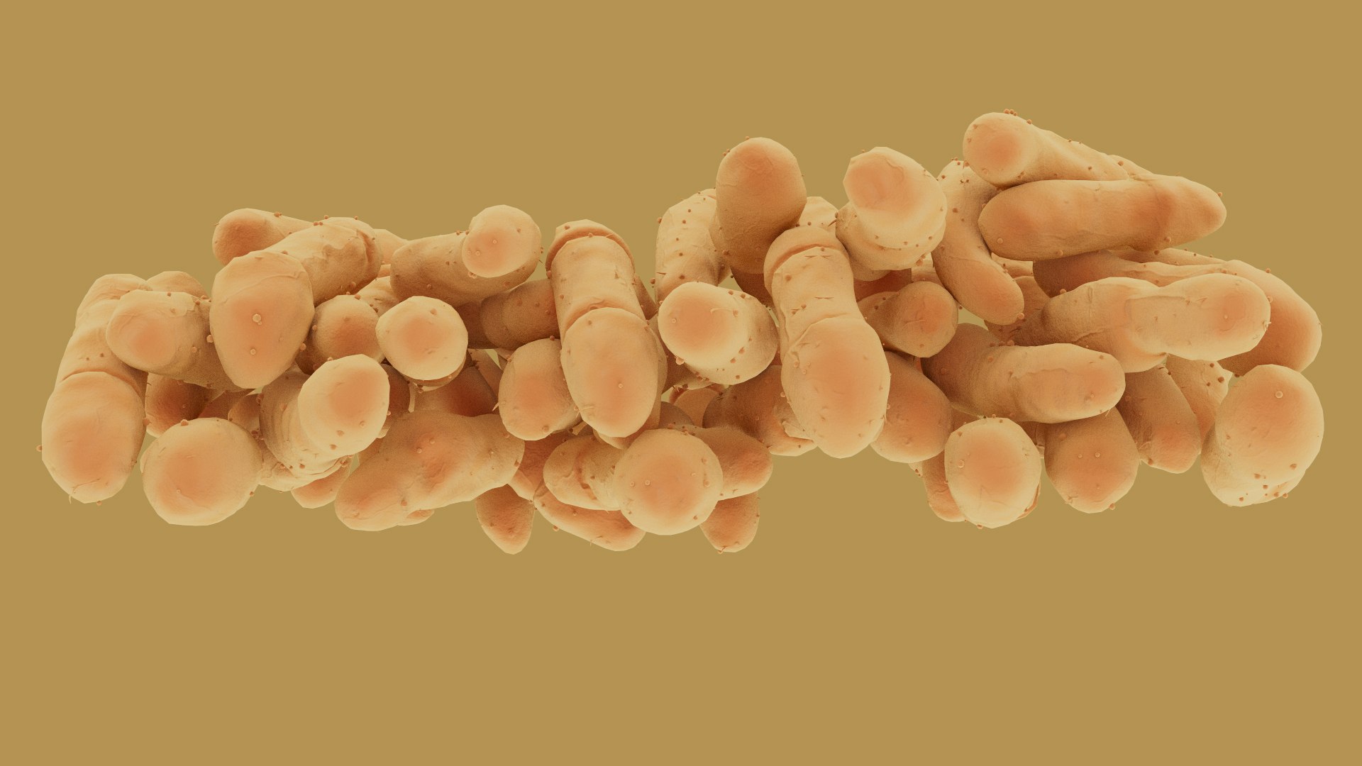 3D Bacillus - TurboSquid 2108161