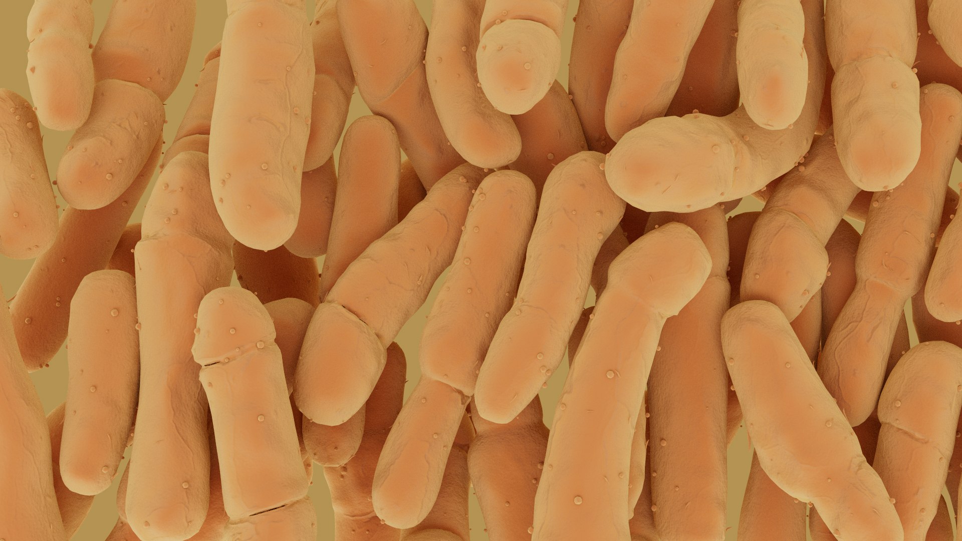 3D Bacillus - TurboSquid 2108161