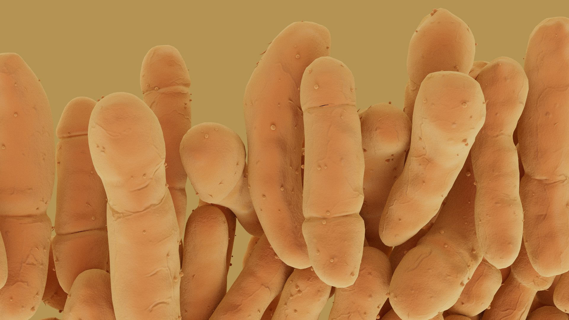 3D Bacillus - TurboSquid 2108161