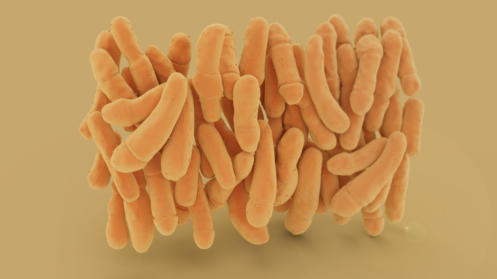 3D Bacillus - TurboSquid 2108161