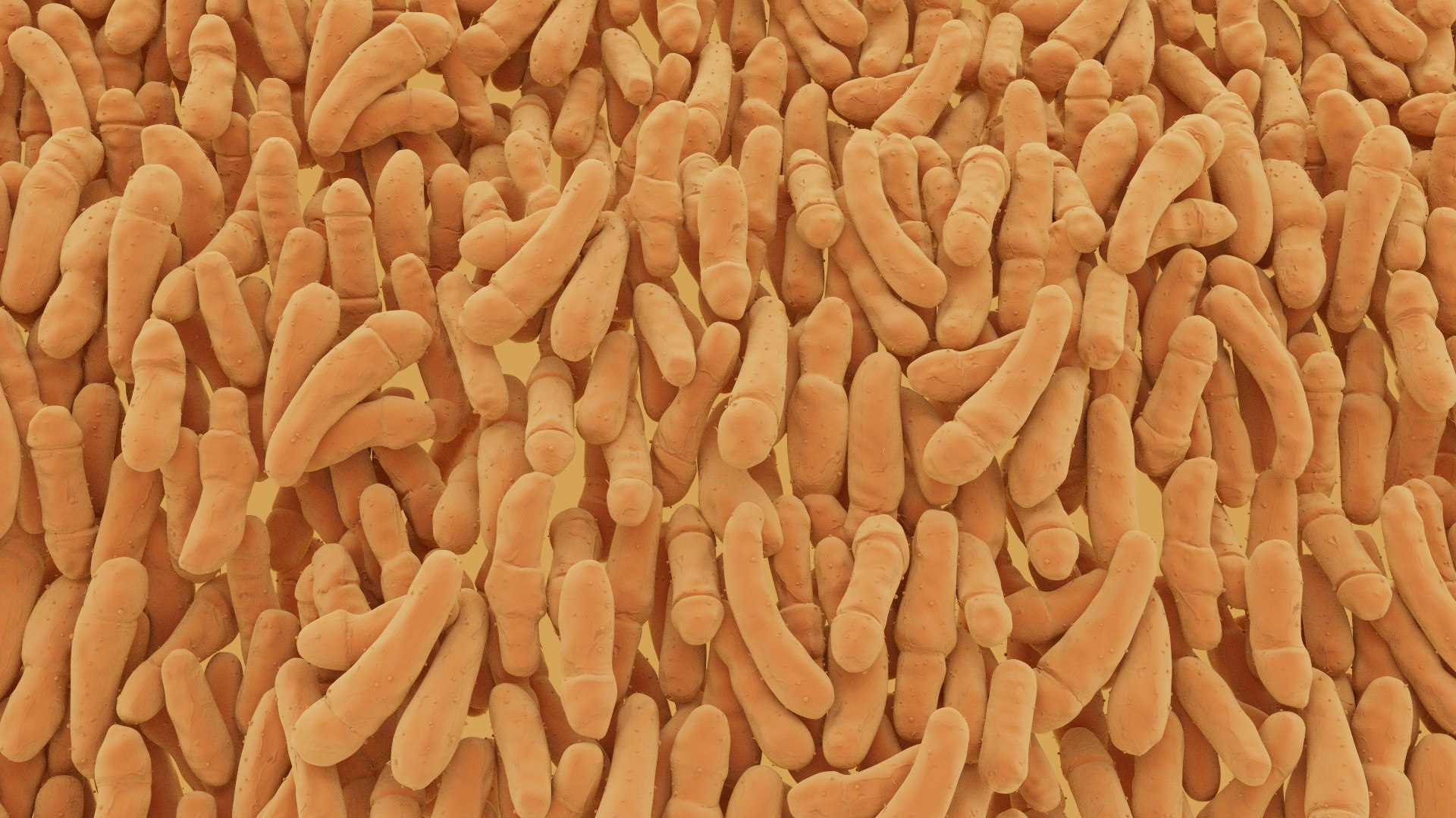 3D Bacillus - TurboSquid 2108161