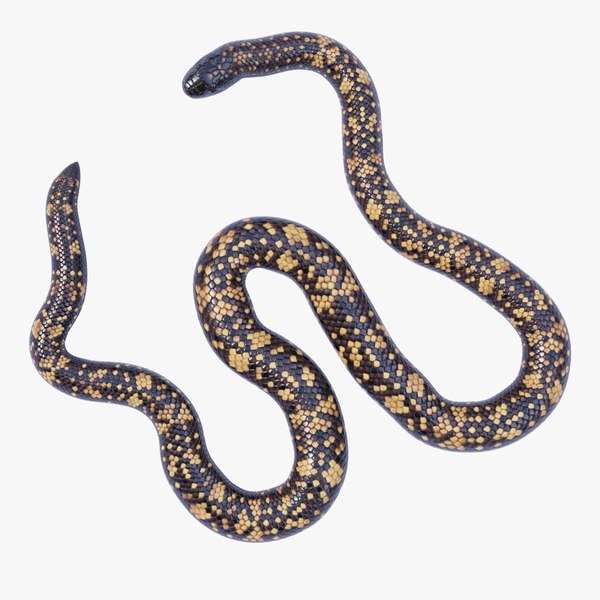 Rigged Calabar Python 3D model - TurboSquid 1952258