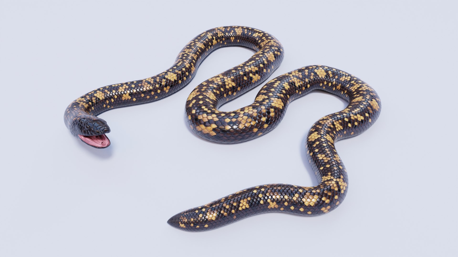 Rigged Calabar Python 3D Model - TurboSquid 1952258