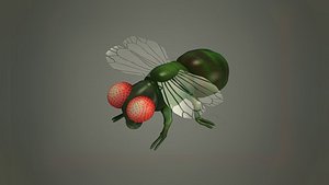 Cartoon Fly 3D Models for Download | TurboSquid