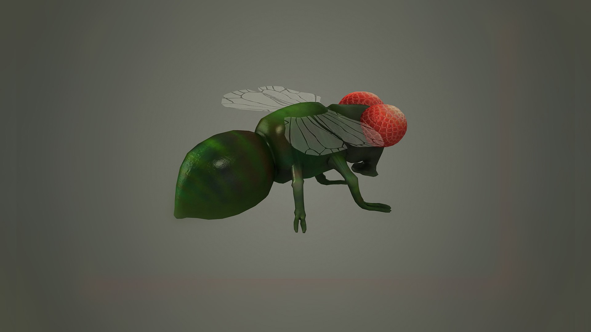 Cartoon Fly Fly Beetle Insect Character 3D - TurboSquid 2159871