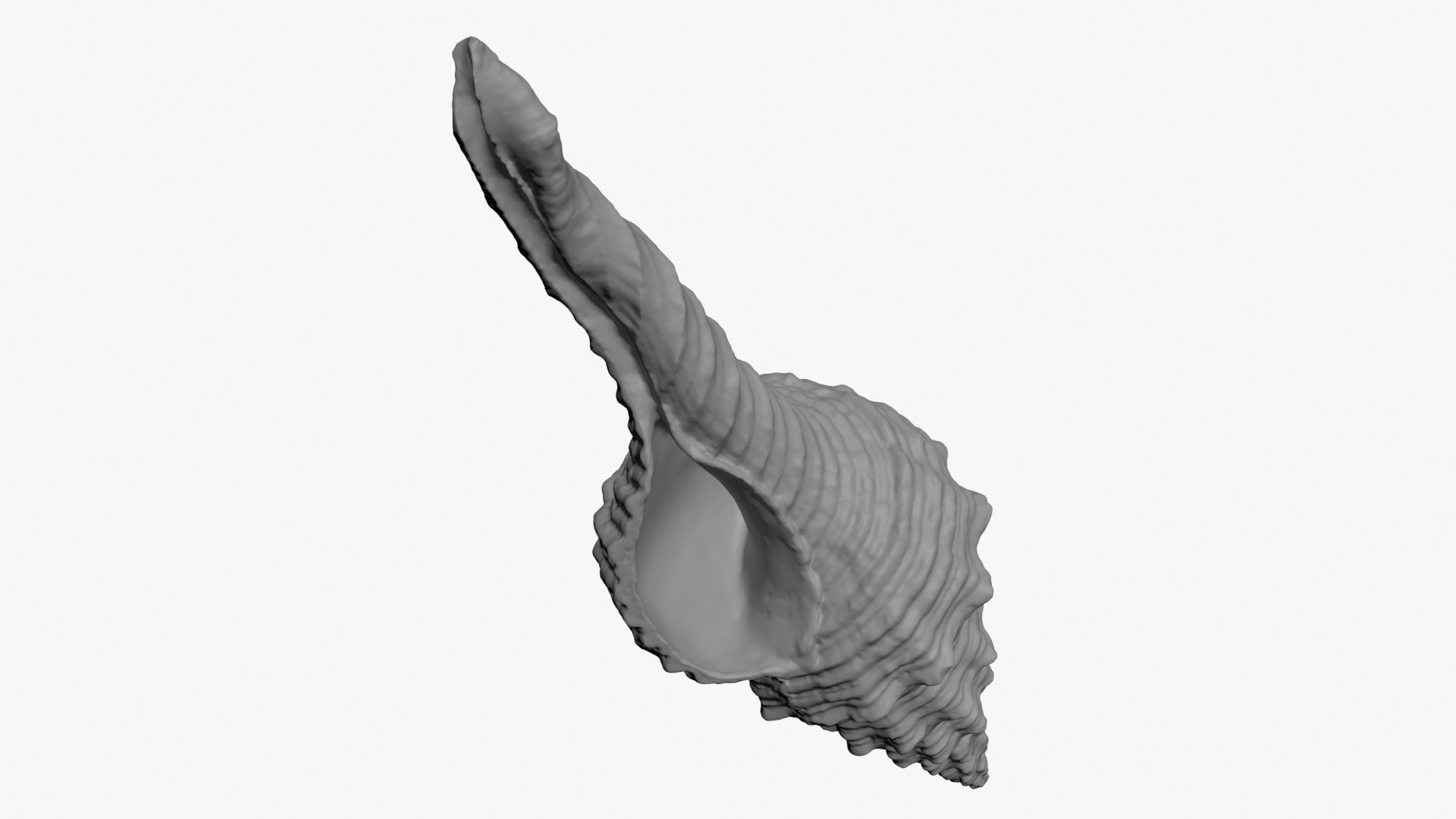 3D Nicobar Spindle 3D Print - TurboSquid 2282409