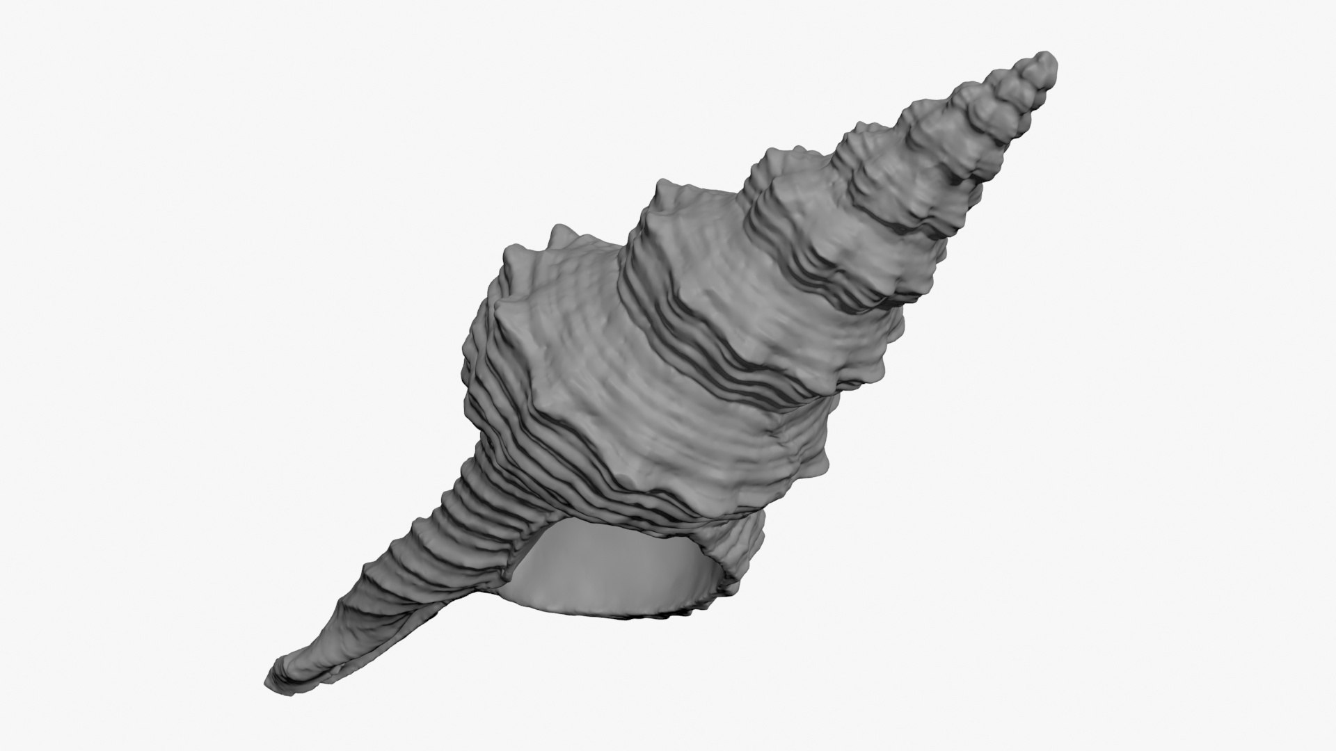 3D Nicobar Spindle 3D Print - TurboSquid 2282409