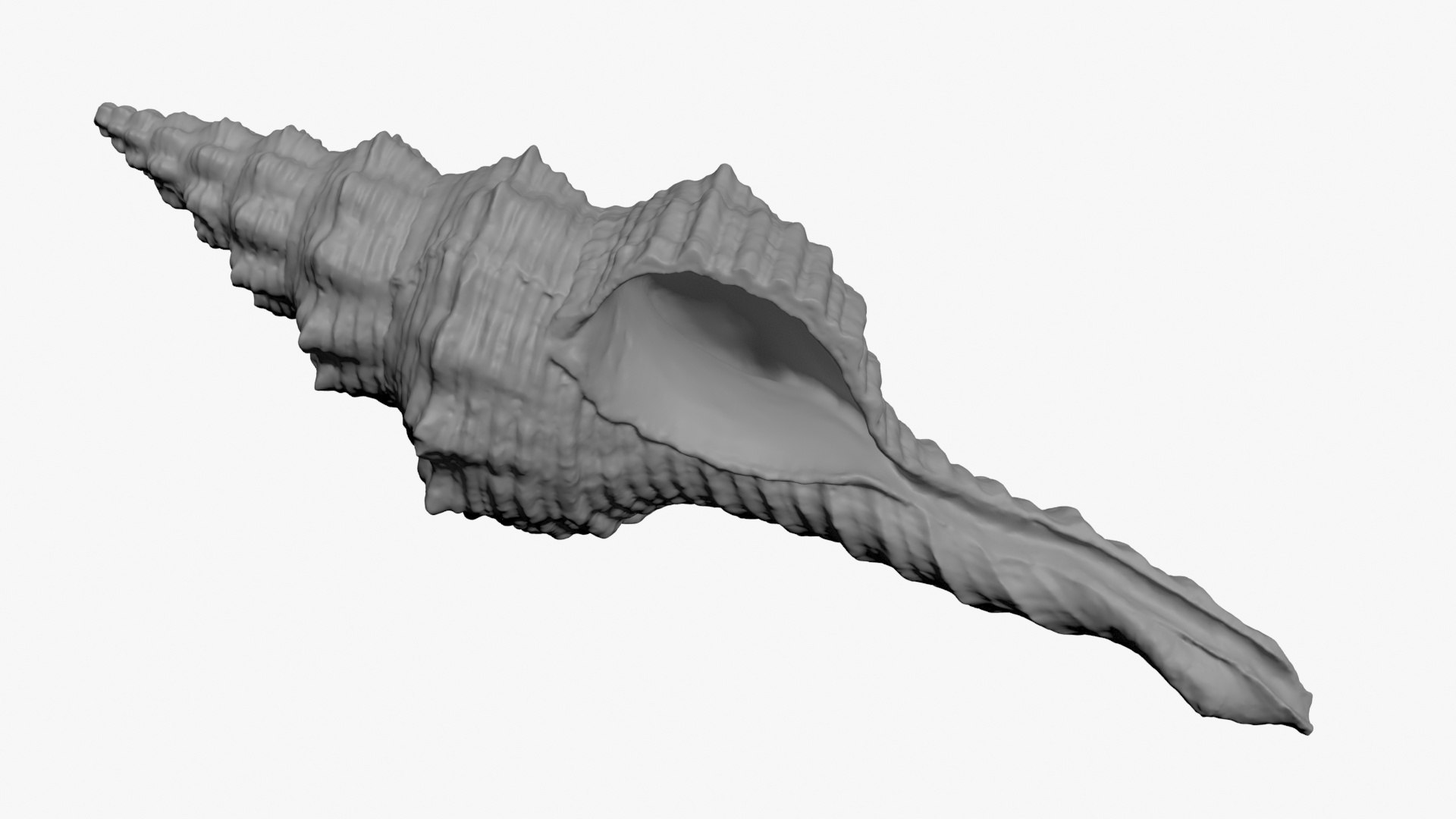 3D Nicobar Spindle 3D Print - TurboSquid 2282409