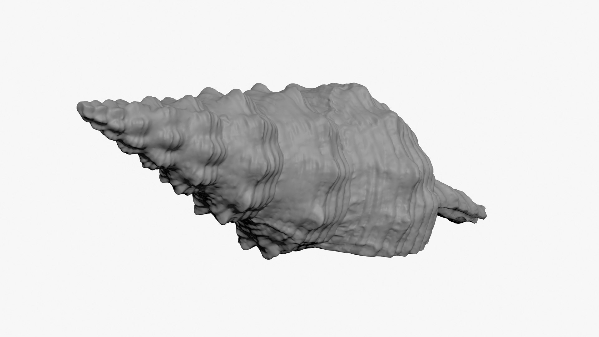 3D Nicobar Spindle 3D Print - TurboSquid 2282409