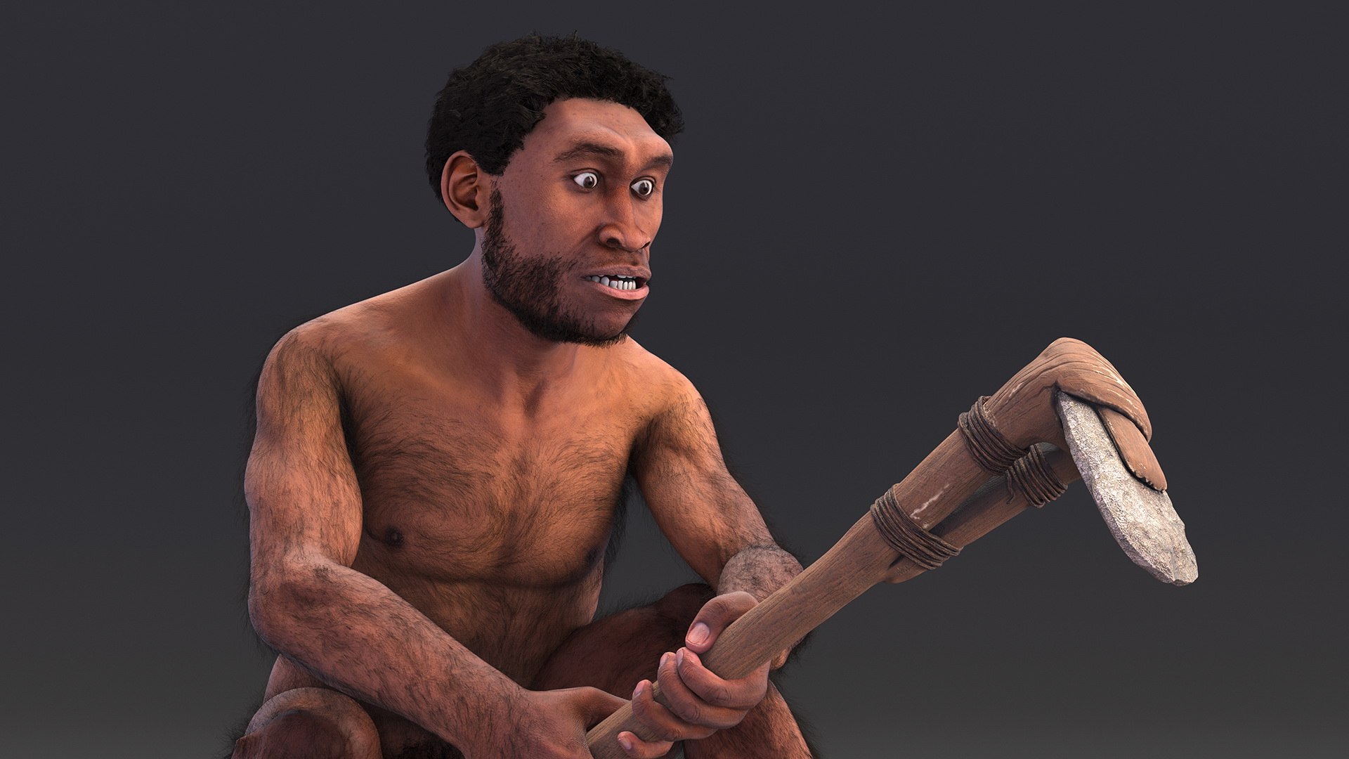 Homo Erectus With A Prehistoric Stone Hoe Fur 3D - TurboSquid 2169491