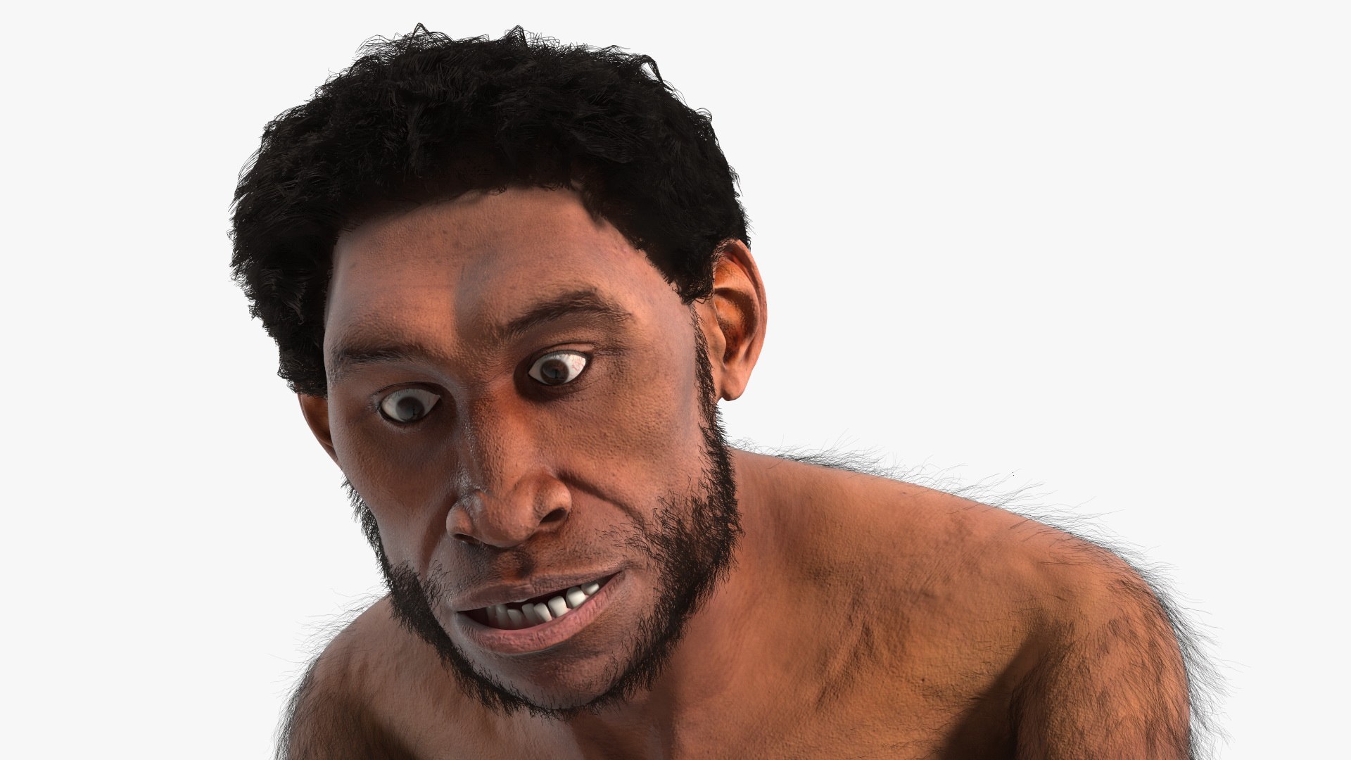 Homo Erectus With A Prehistoric Stone Hoe Fur 3D - TurboSquid 2169491