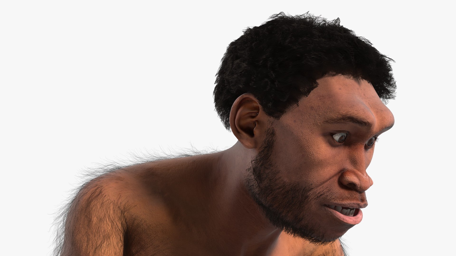 Homo Erectus With A Prehistoric Stone Hoe Fur 3D - TurboSquid 2169491