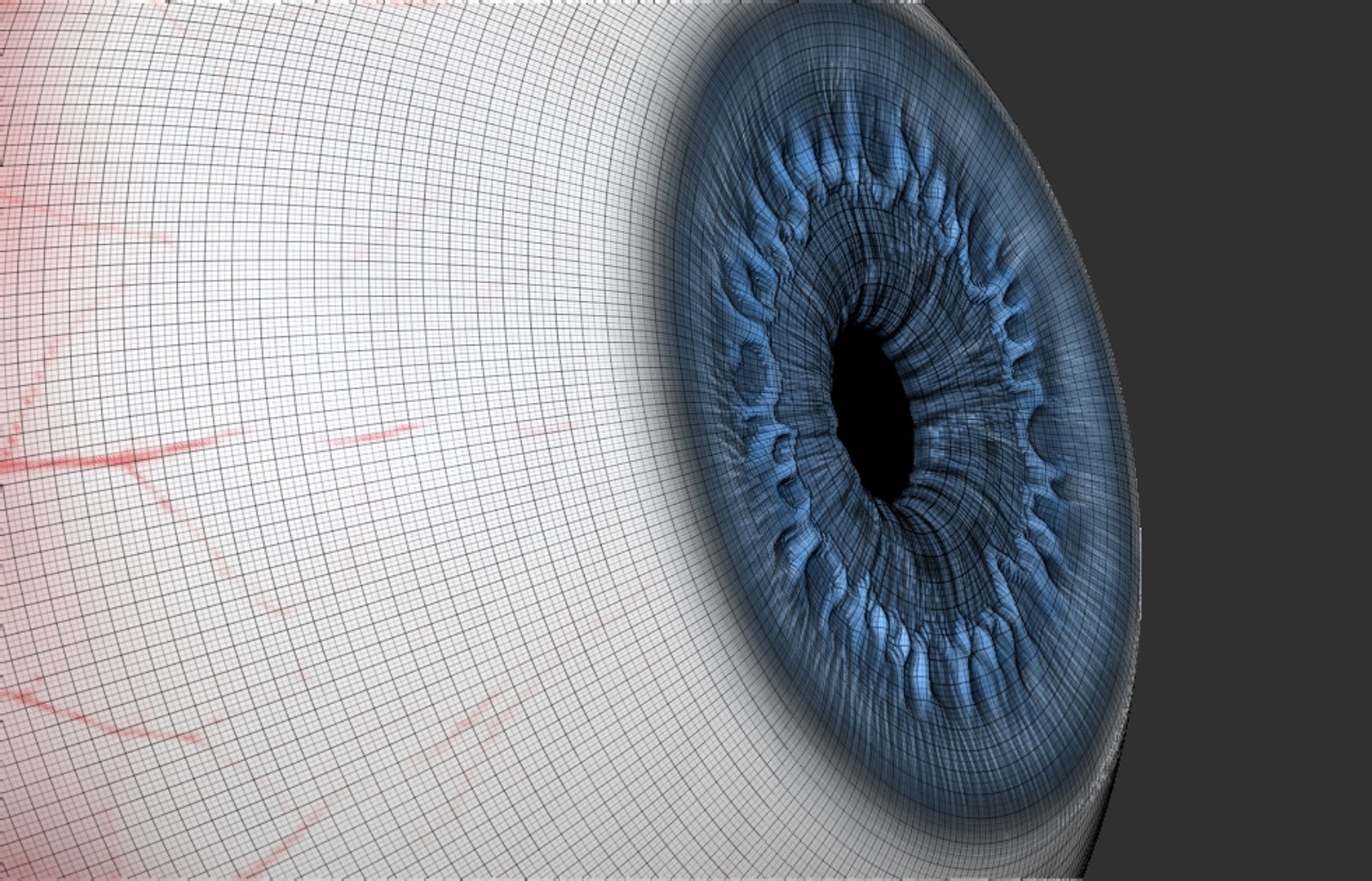 Eye 3D Model - TurboSquid 1152427