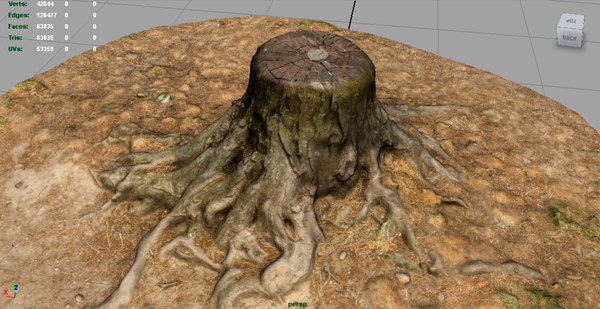3D realistic tree stump - TurboSquid 1163938
