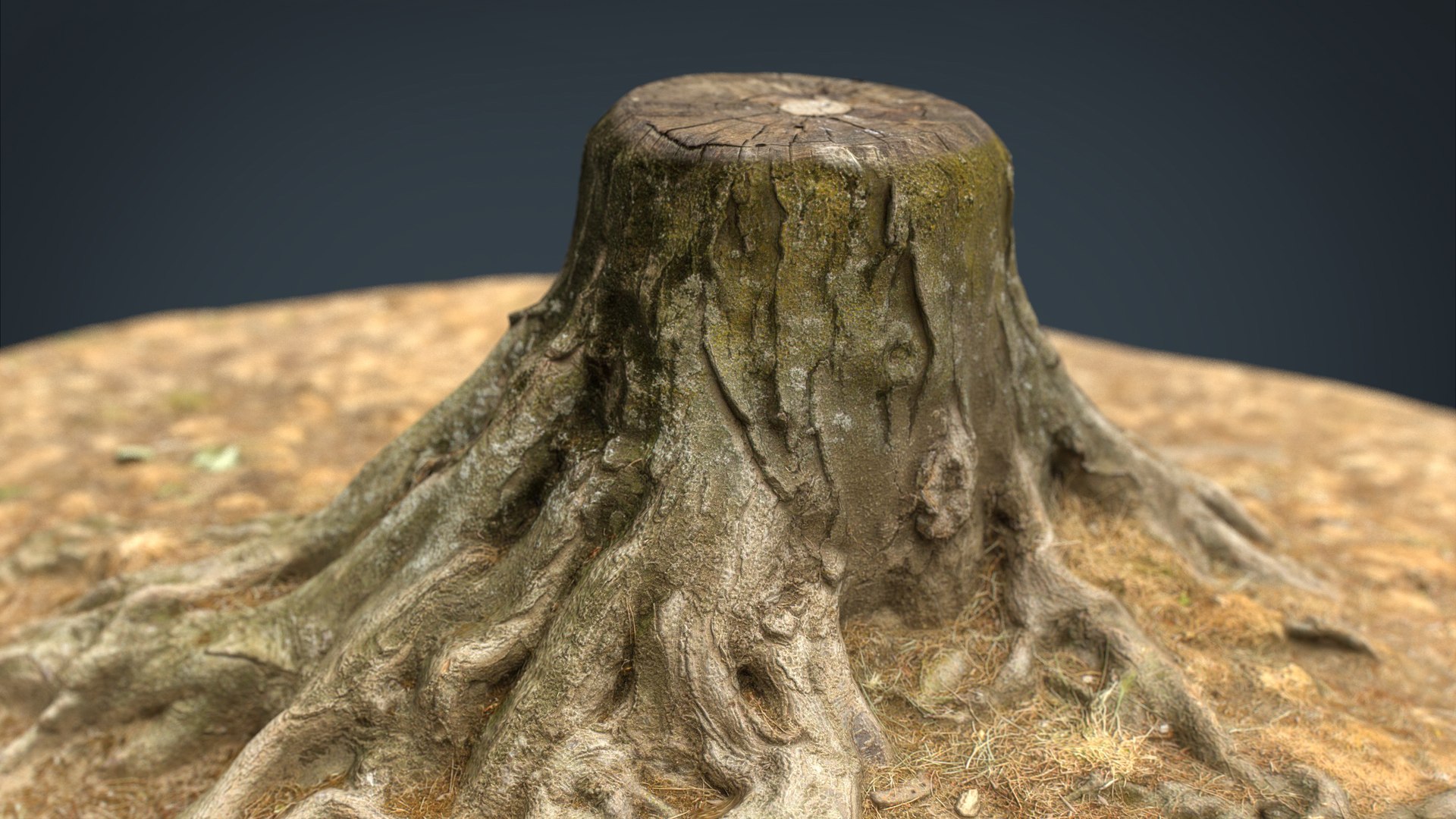 3D Realistic Tree Stump - TurboSquid 1163938